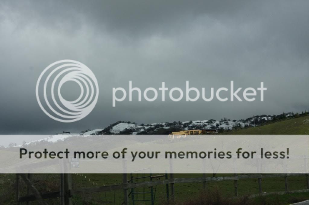 Valentines Day with Haske?:::: | Luxury4Play.com