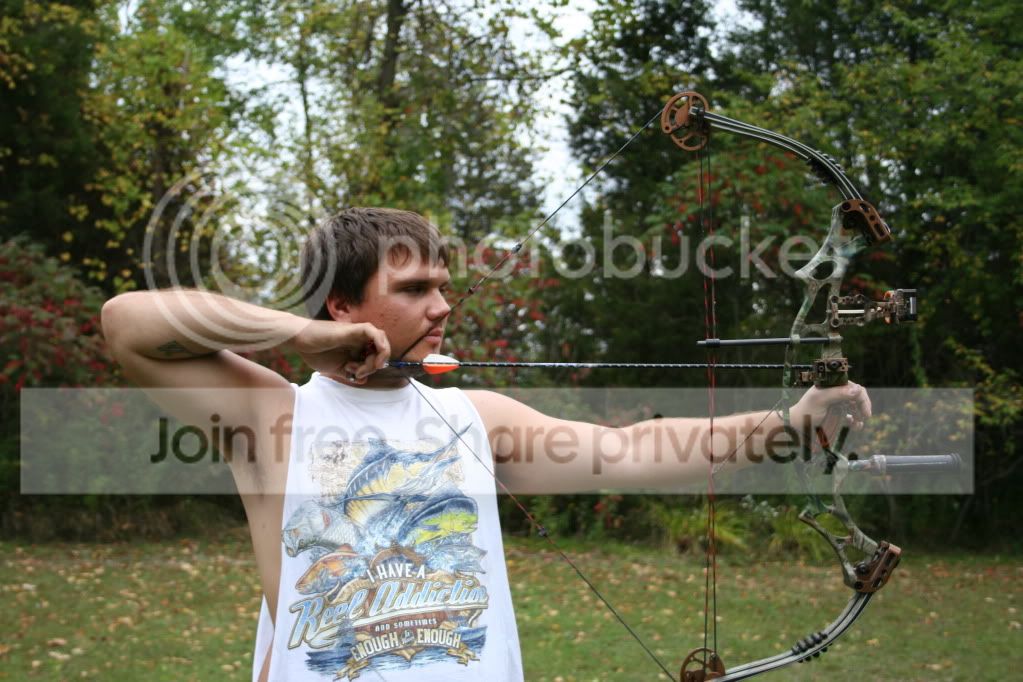 hoyt | Archery Talk Forum