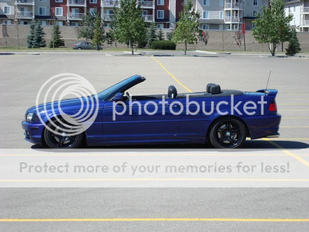 The Official E46 Convertible Pics Thread*** | Page 31 | E46 Fanatics Forum