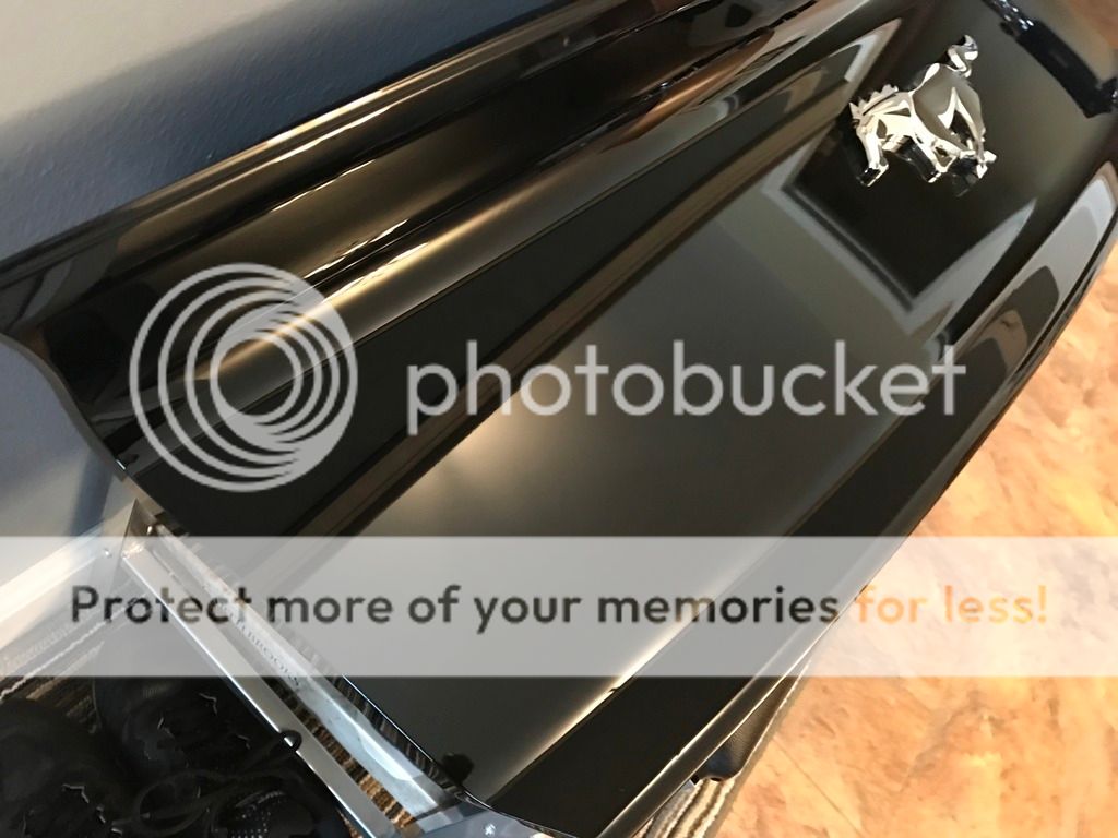 Rear deck lid panel | 2015+ S550 Mustang Forum (GT, EcoBoost, GT350 ...