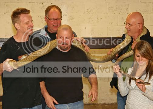 Nothing to do with field herping... - Field Herp Forum